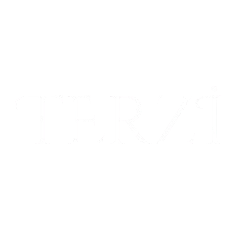 Terzi — Tailor-Made AI Products
